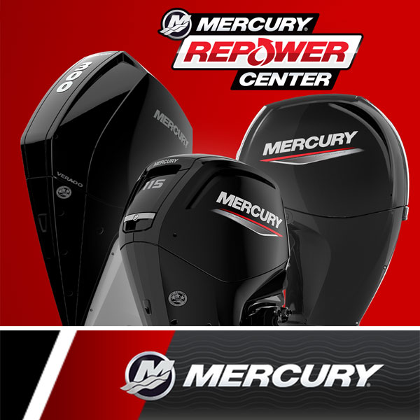 Fish Slap - Fish Circus